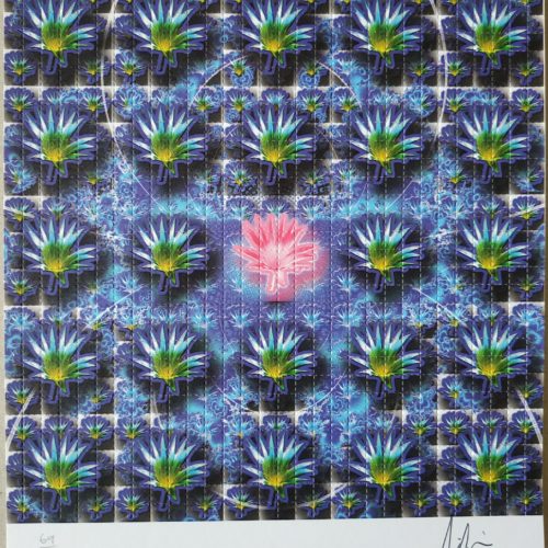 gooney bird - LSD Blotter Art